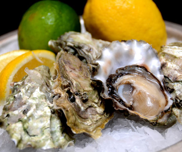 Oysters – Centennial Food Group