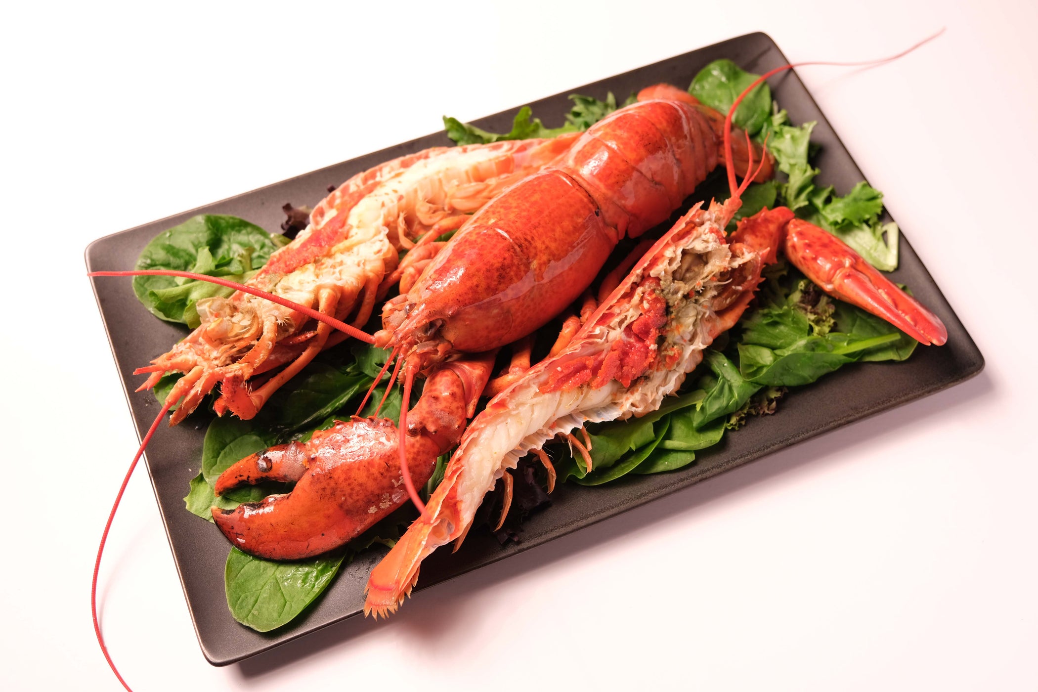 Lobsters – Centennial Food Group
